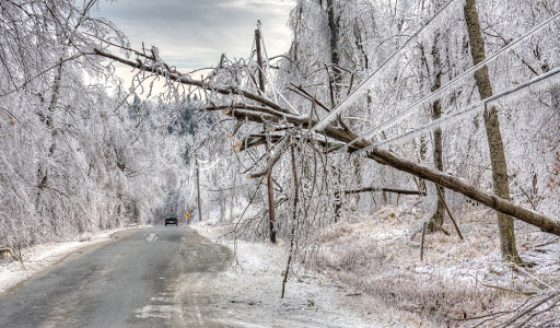 Cold-weather power outages: what to do before, during and after - Lion ...