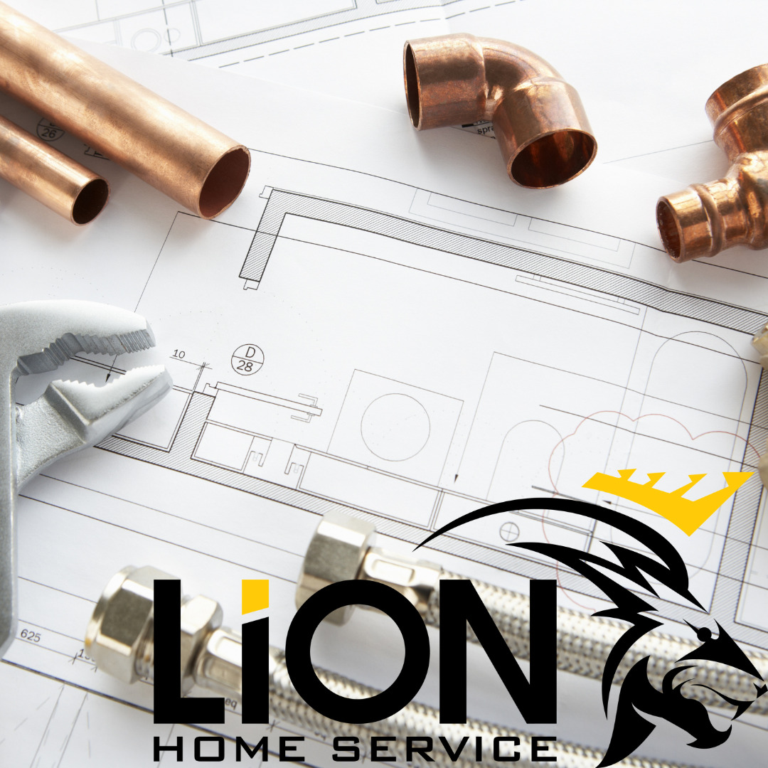 The Complete Guide to Lion Home Service's Whole Home Plumbing Assessment