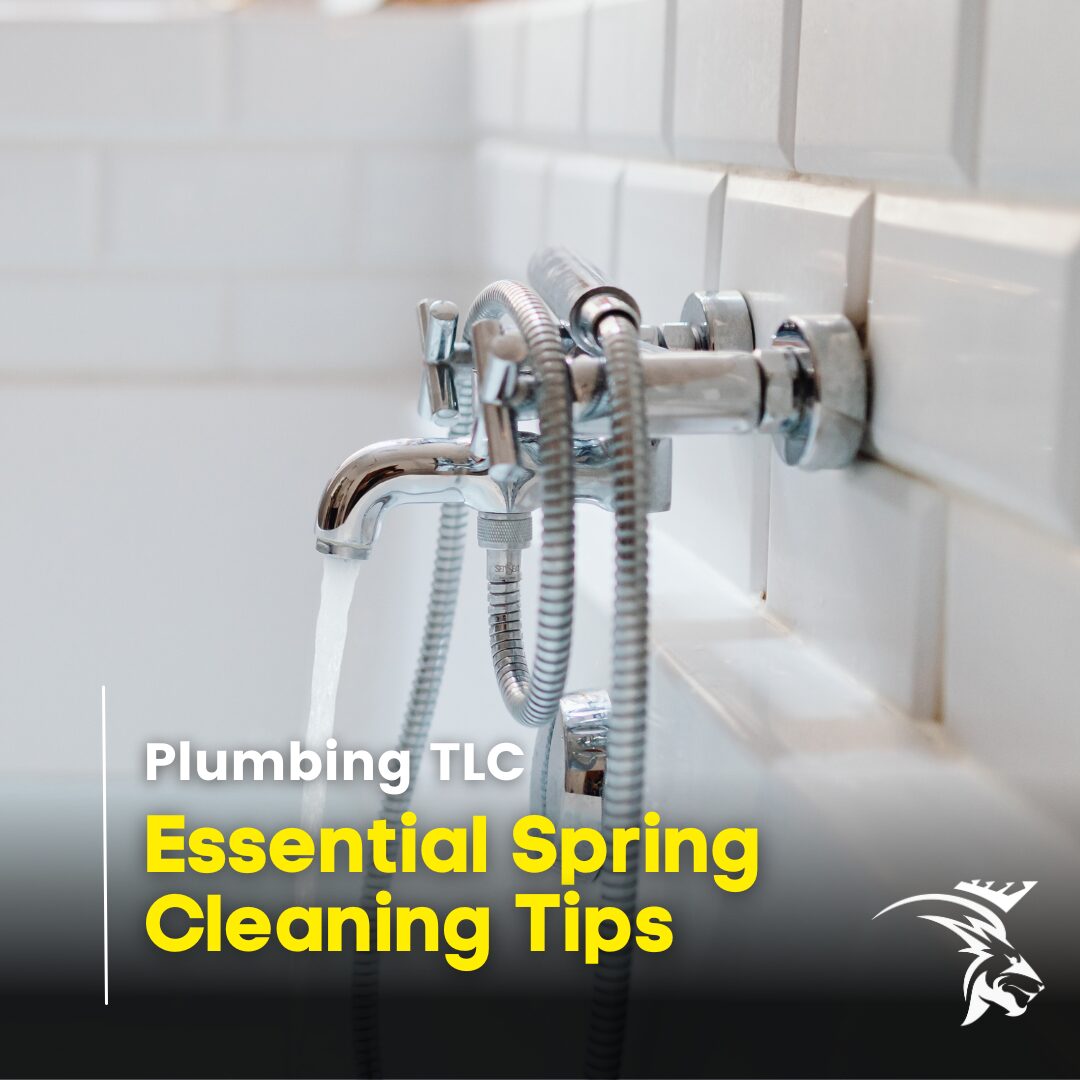 Plumbing TLC: Essential Spring Cleaning Tips - Lion Home Service