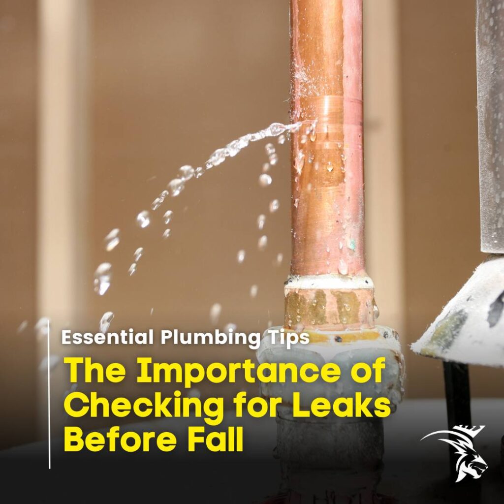 Greeley Plumbers | Plumbing In Greeley | Lion Home Service