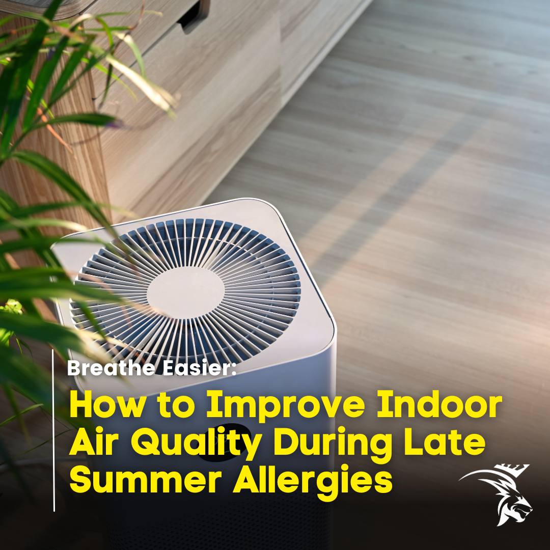 Indoor Air Quality - Air Quality Services And Inspections