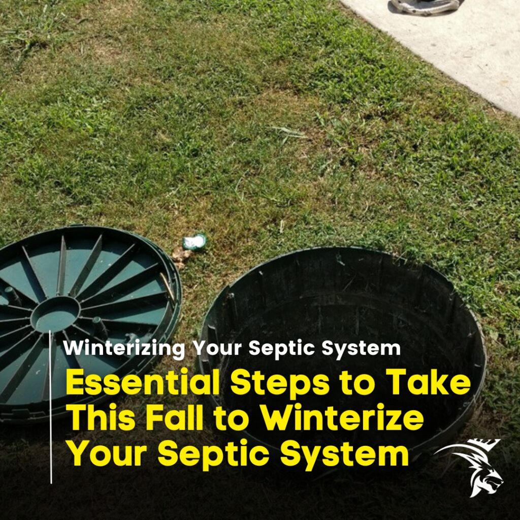 Signs of Septic Trouble You Shouldn't Ignore - Lion Home Service