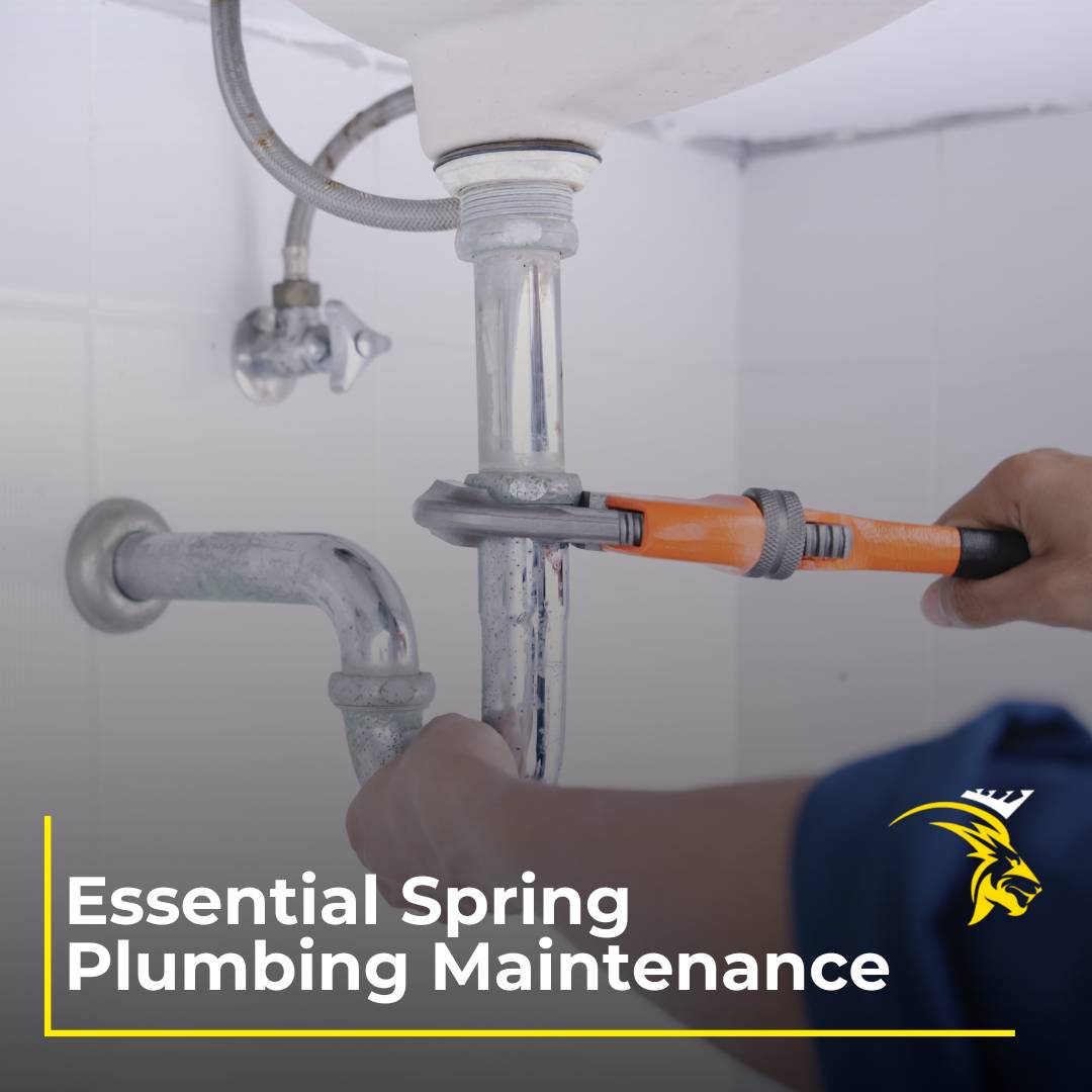 Essential Spring Plumbing Maintenance - Lion Home Service